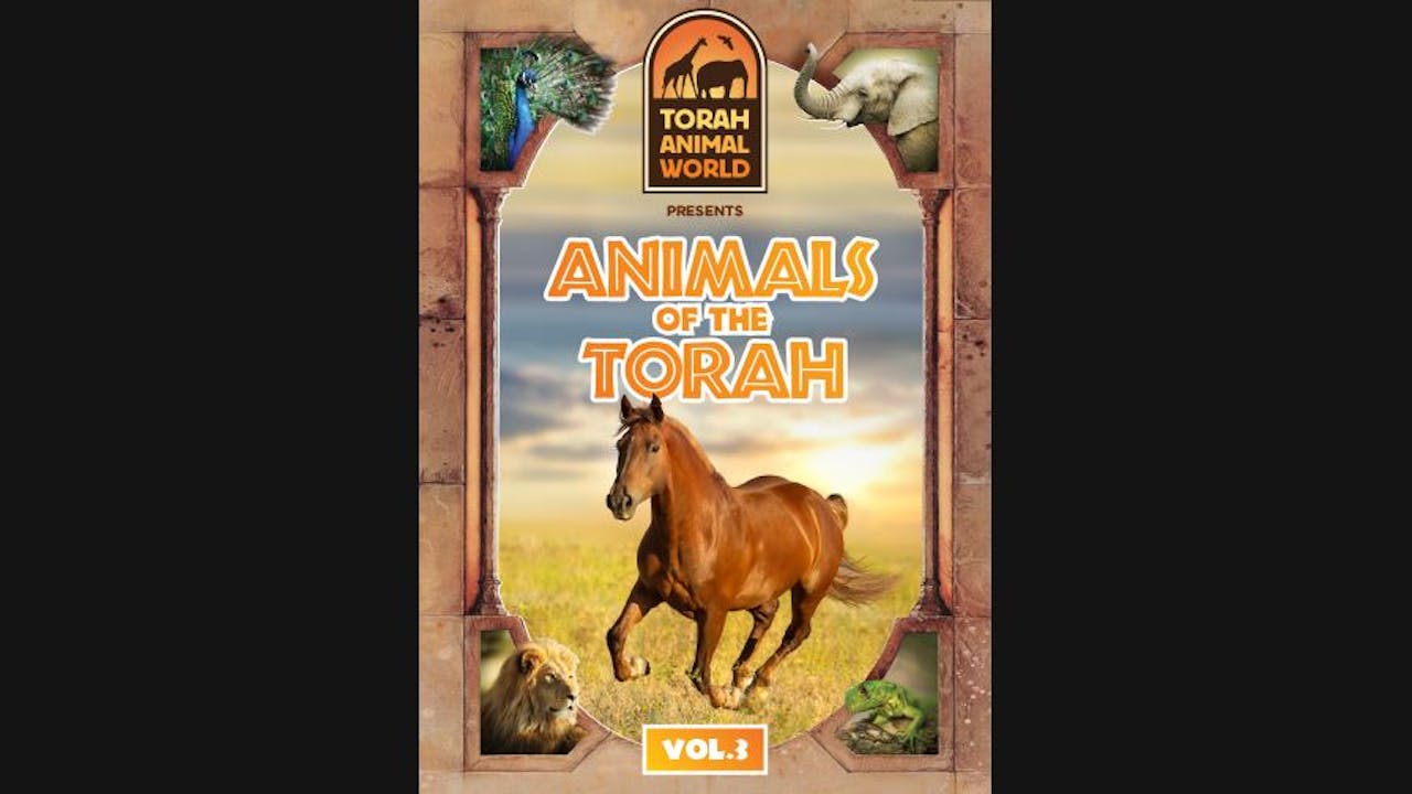 Animals Of The Torah Vol-3 - Living Torah Museum Video Rentals