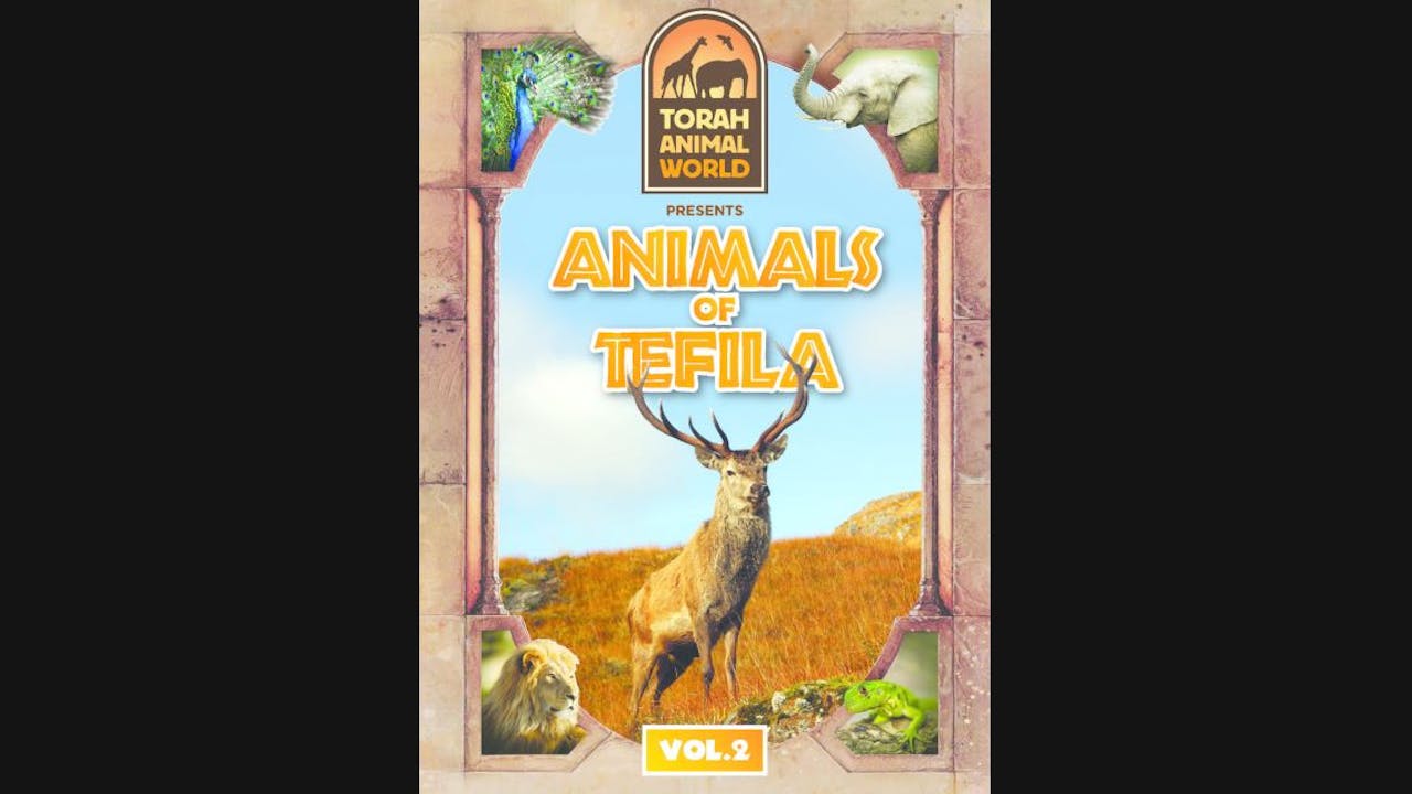 Animals of Tefila Vol. 2 - Living Torah Museum Video Rentals