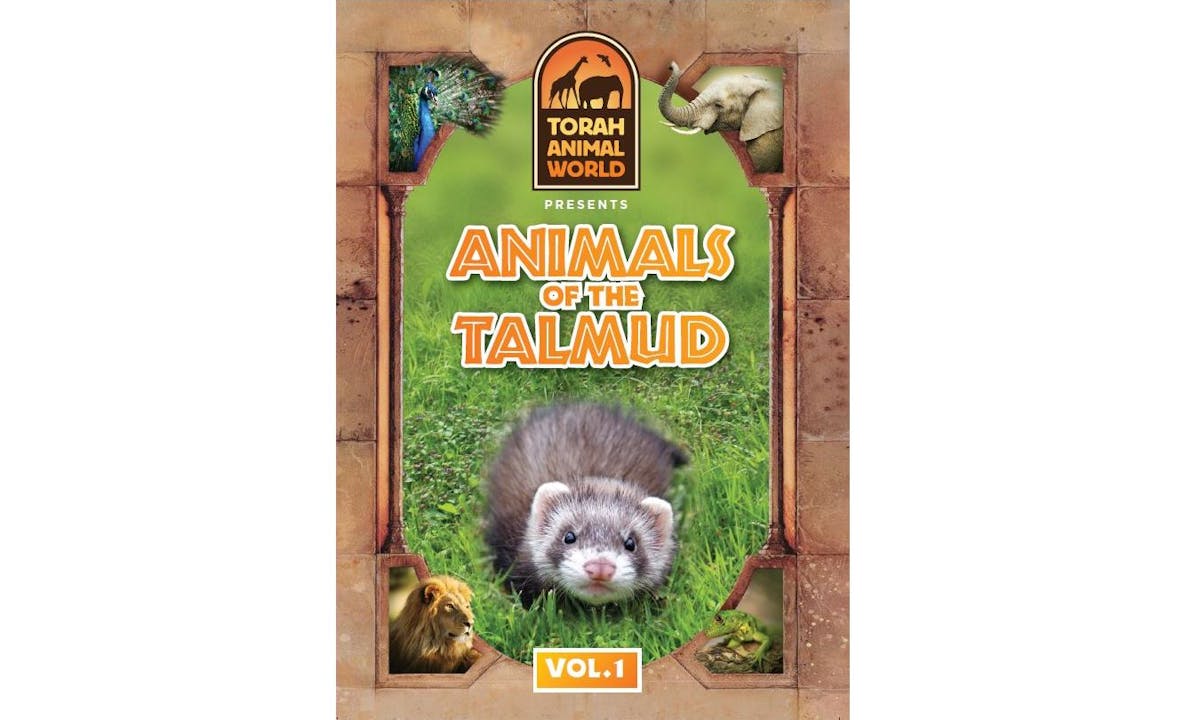 Animals of the Talmud Vol. 1 - Living Torah Museum Video Rentals