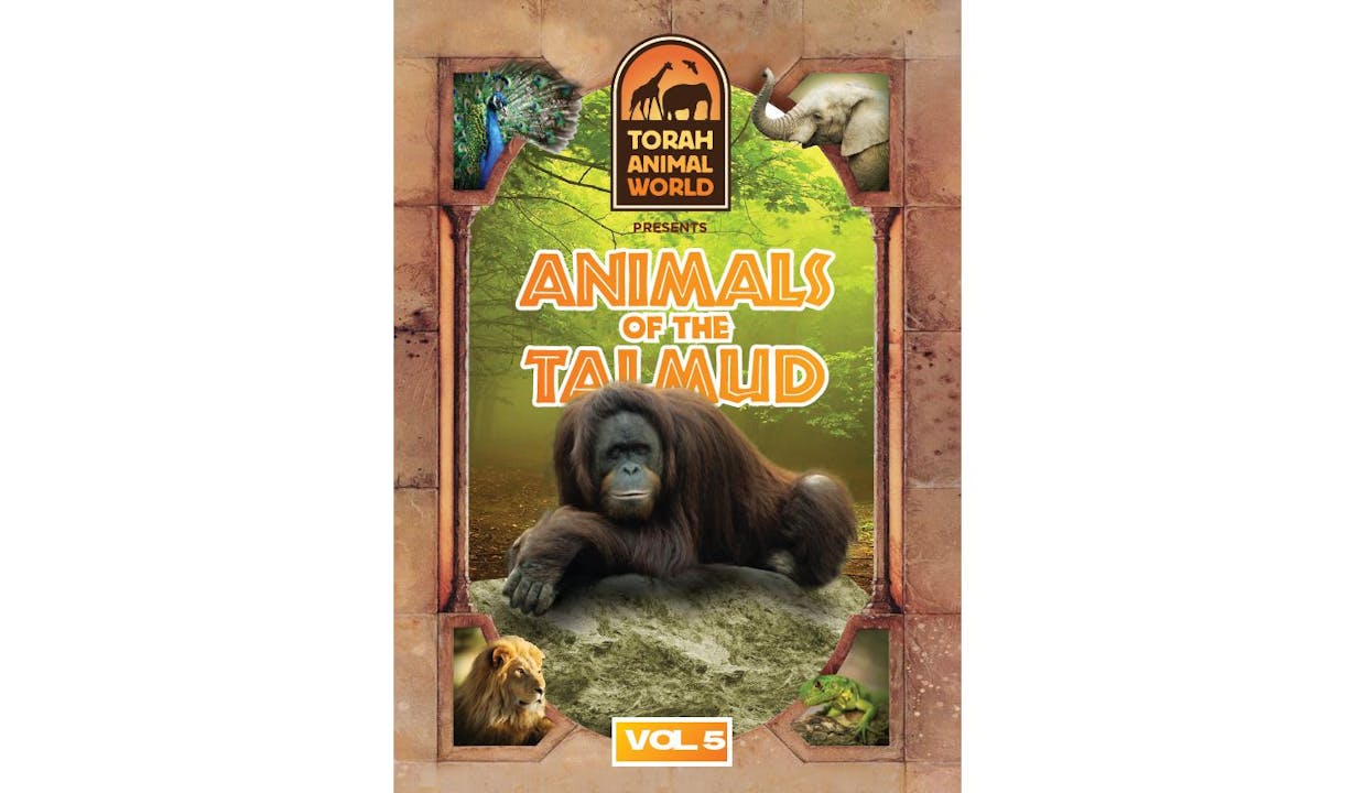 Animals of the Talmud Vol. 5 - Living Torah Museum Video Rentals
