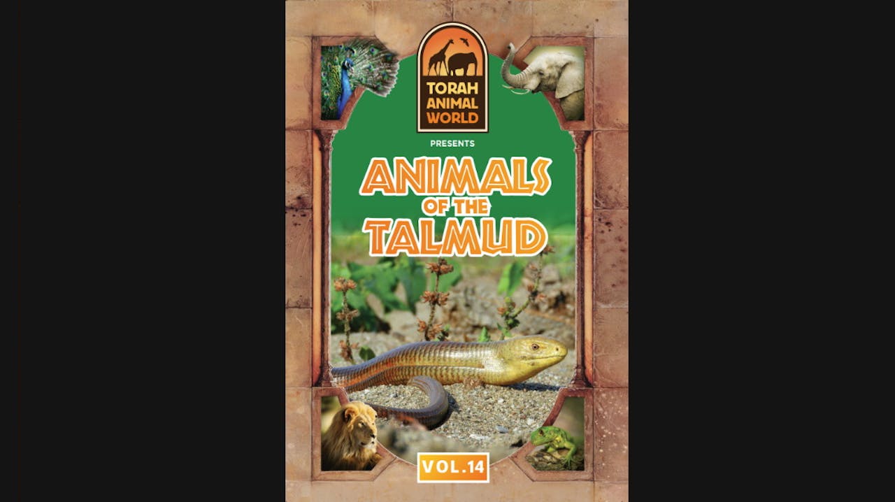 Animals of the Talmud Vol-14 - Living Torah Museum Video Rentals