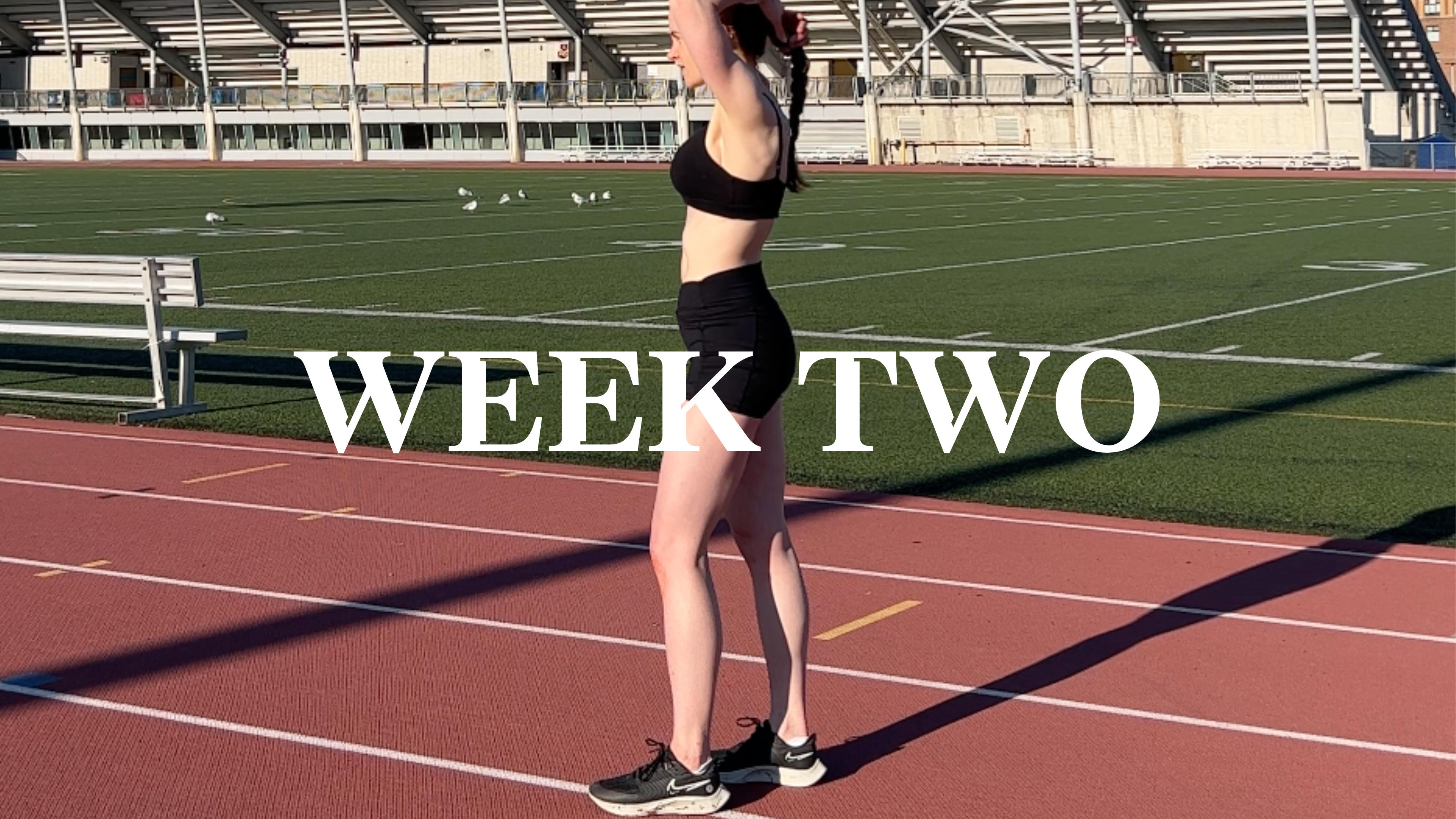 WEEK 2 - Inner Athlete - ANDA