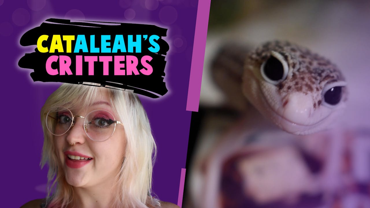 CatAleah's Critters: Farm Animal Fun! - Trilogy Plus