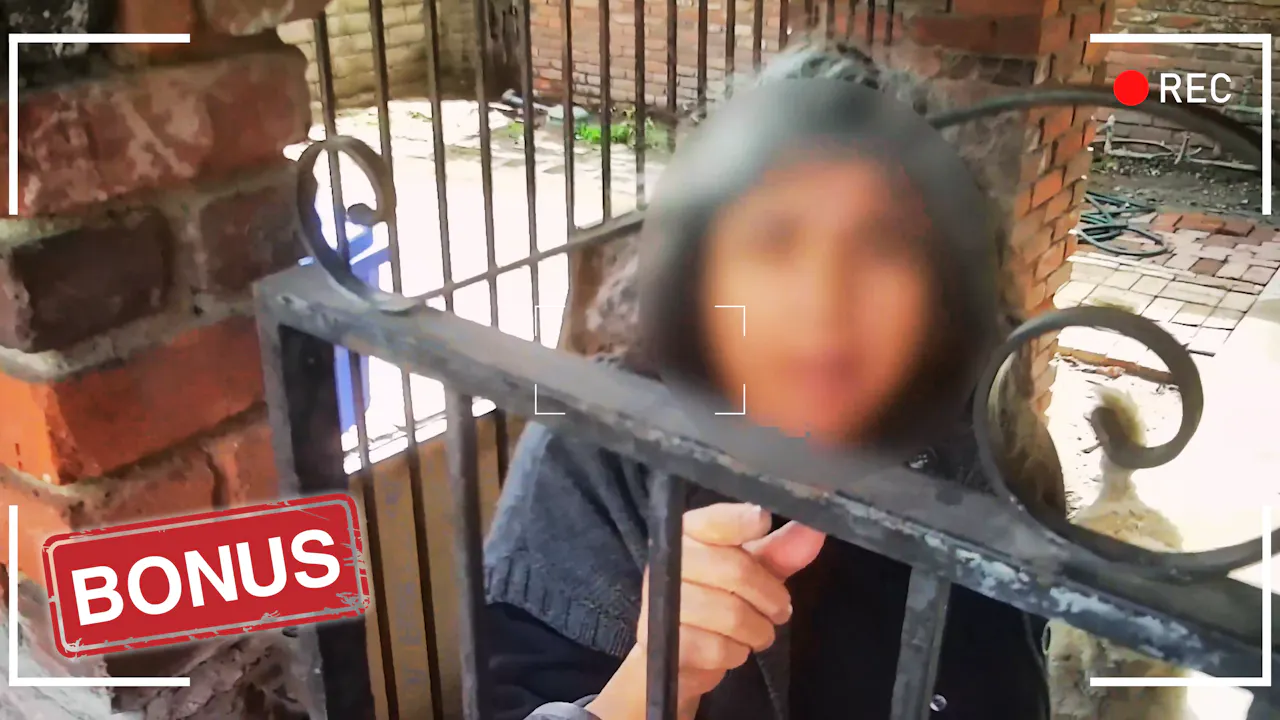 This Scam Mule’s House Had More Dogs Than Answers - Trilogy Plus