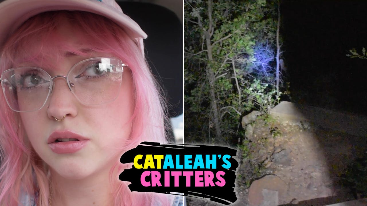 CatAleah's Critters: Exploring an Abandoned Zoo - Trilogy Plus