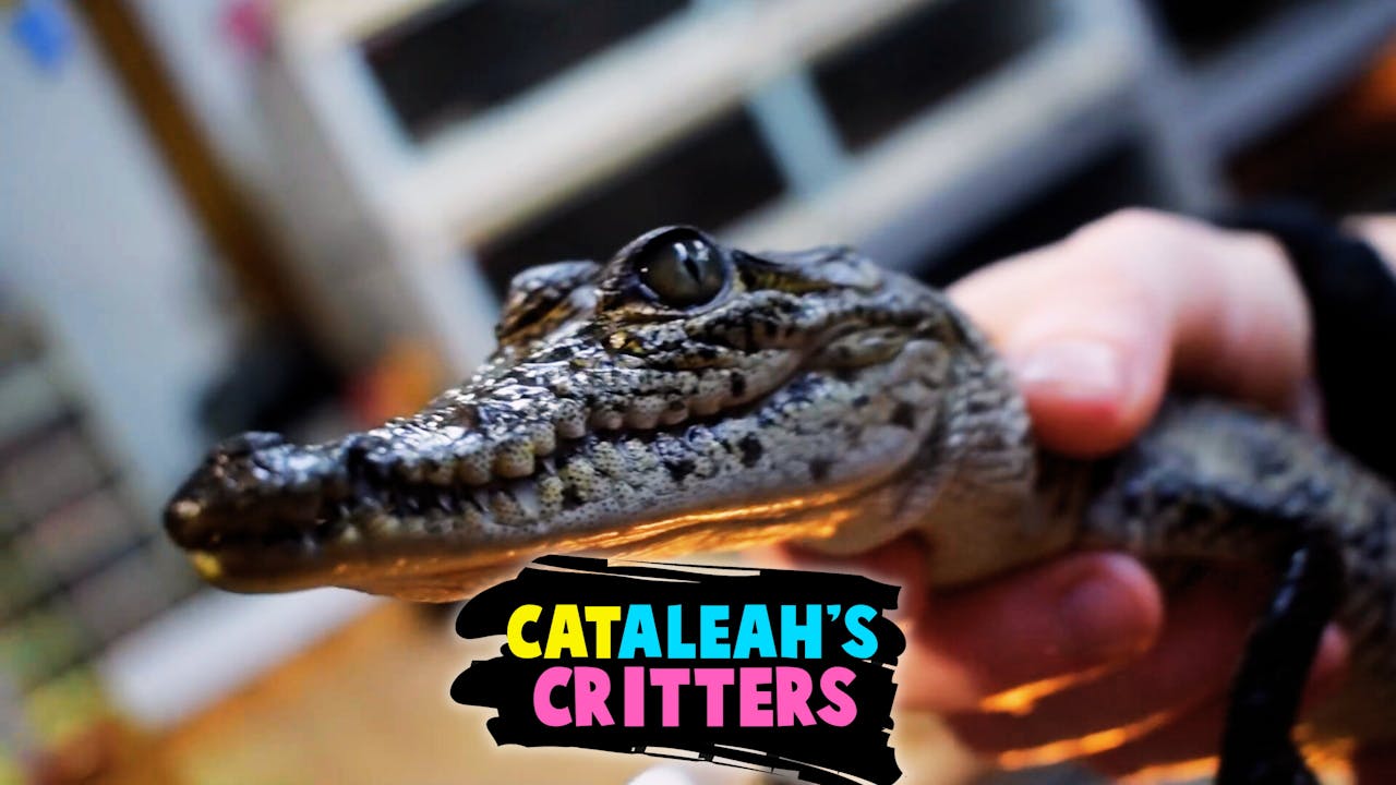 Visiting A BIG CAT and Exotics Sanctuary! - Trilogy Plus