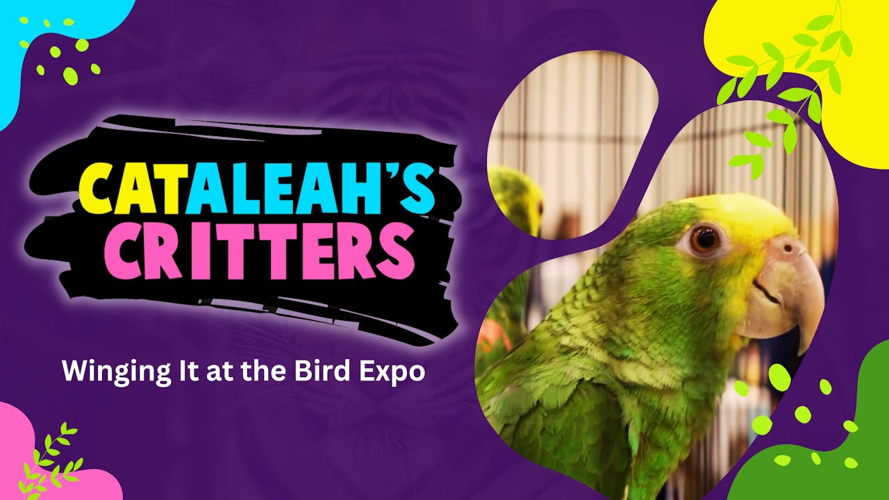 Winging It at the Bird Expo | CatAleah's Critters - Trilogy Plus