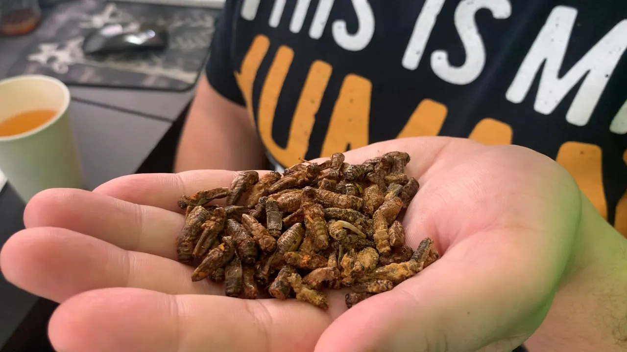 Eating 100+ Crickets - Trilogy Plus