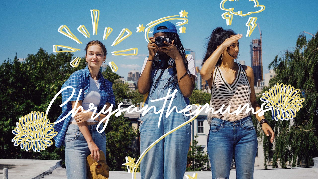 Chrysanthemums - Troma NOW