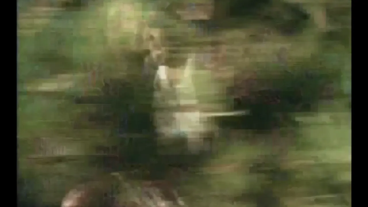 Decampitated Trailer - Troma NOW