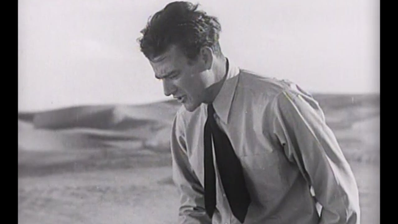 Episode 11 - Troma NOW