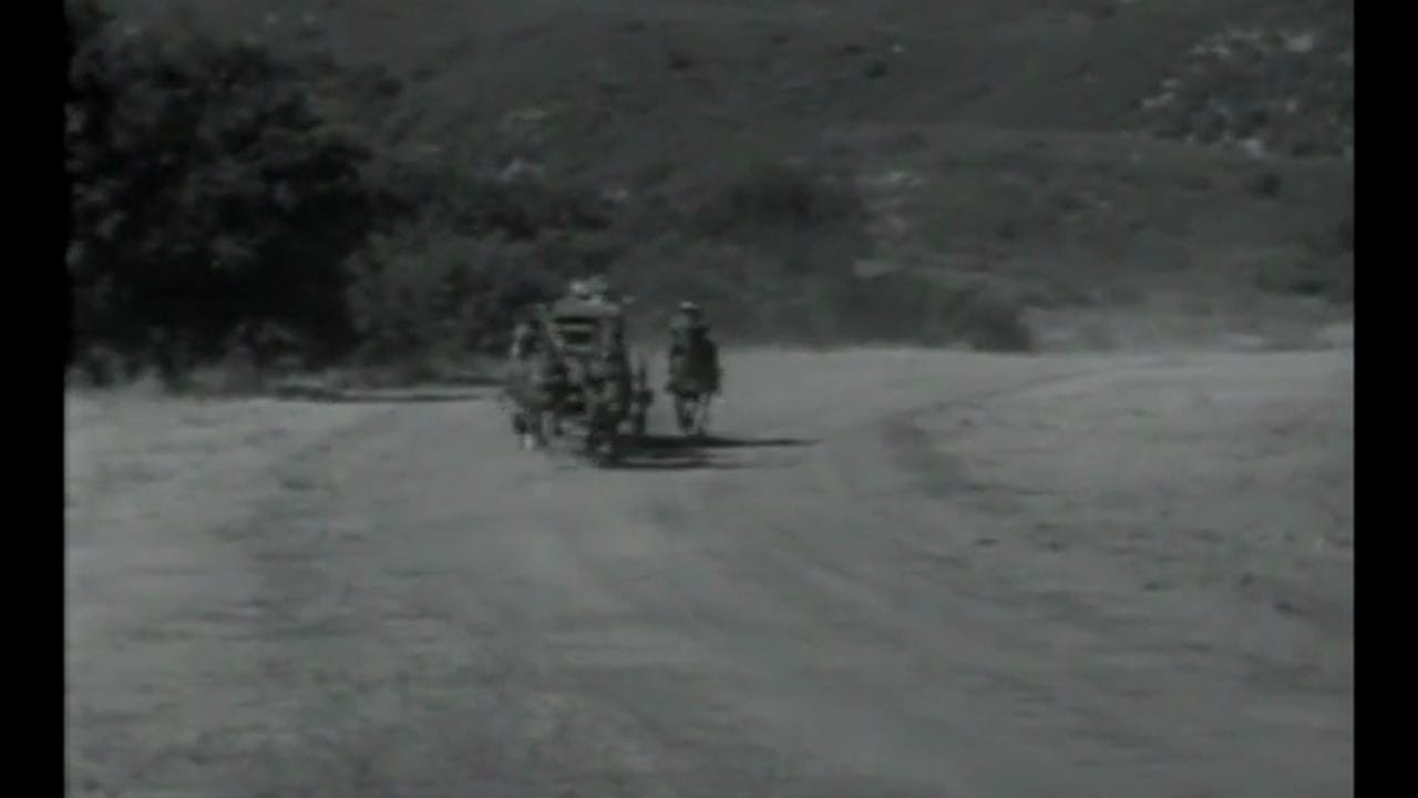 Episode 8 - Troma NOW