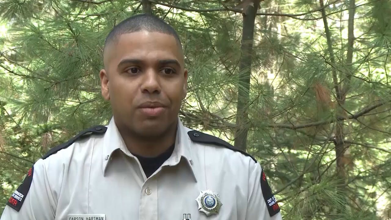 Maine Forest Rangers - TruBlu