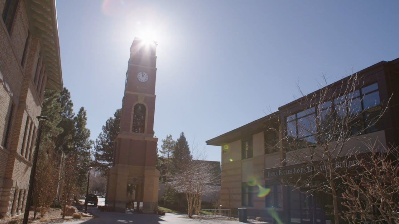 Dog Valley Trailer - TruBlu