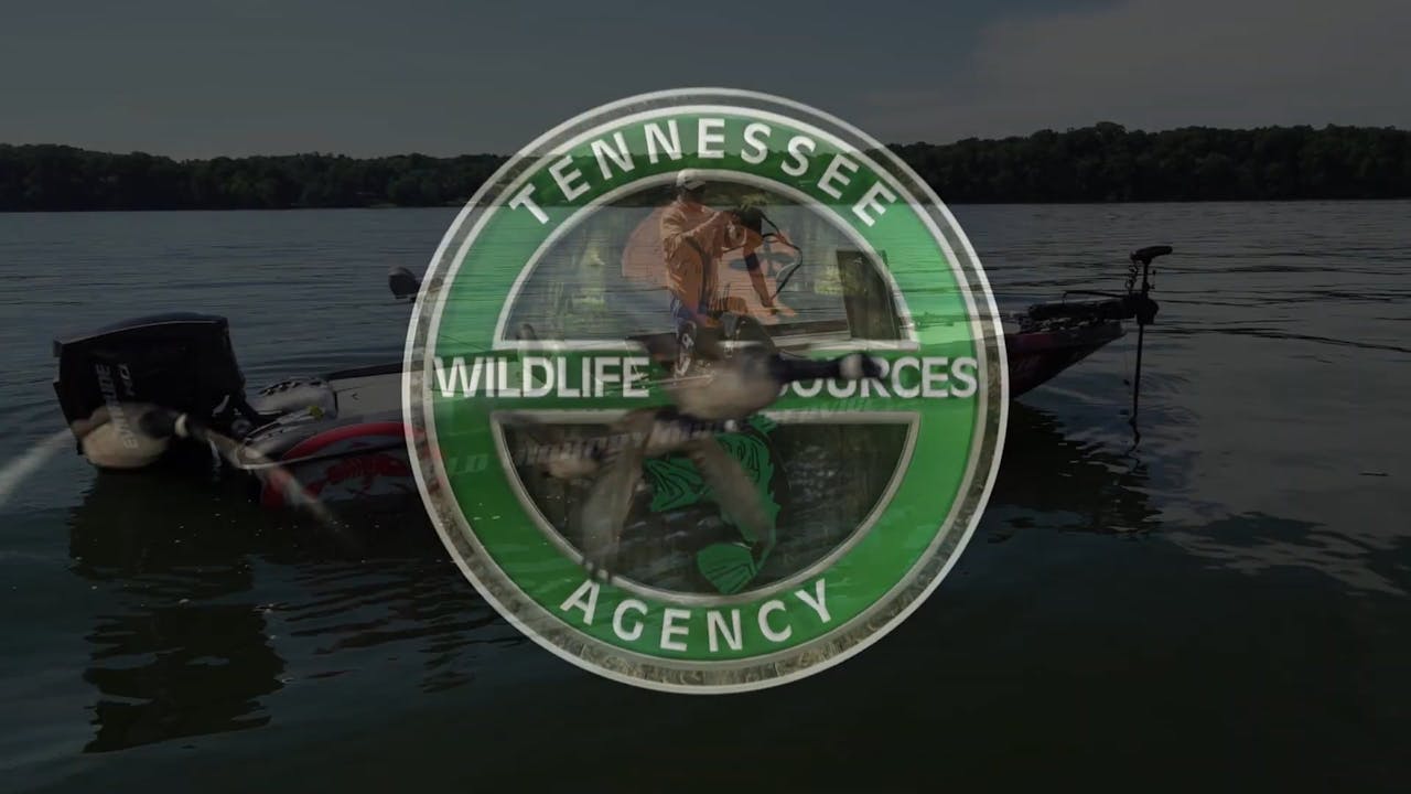 Tennessee Wildlife Resources Agency - TruBlu
