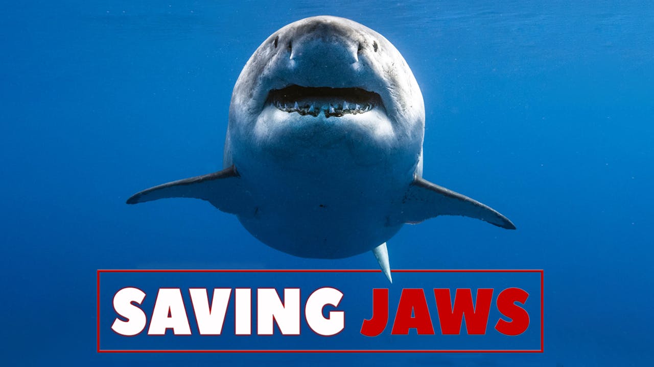 Saving Jaws - TruBlu