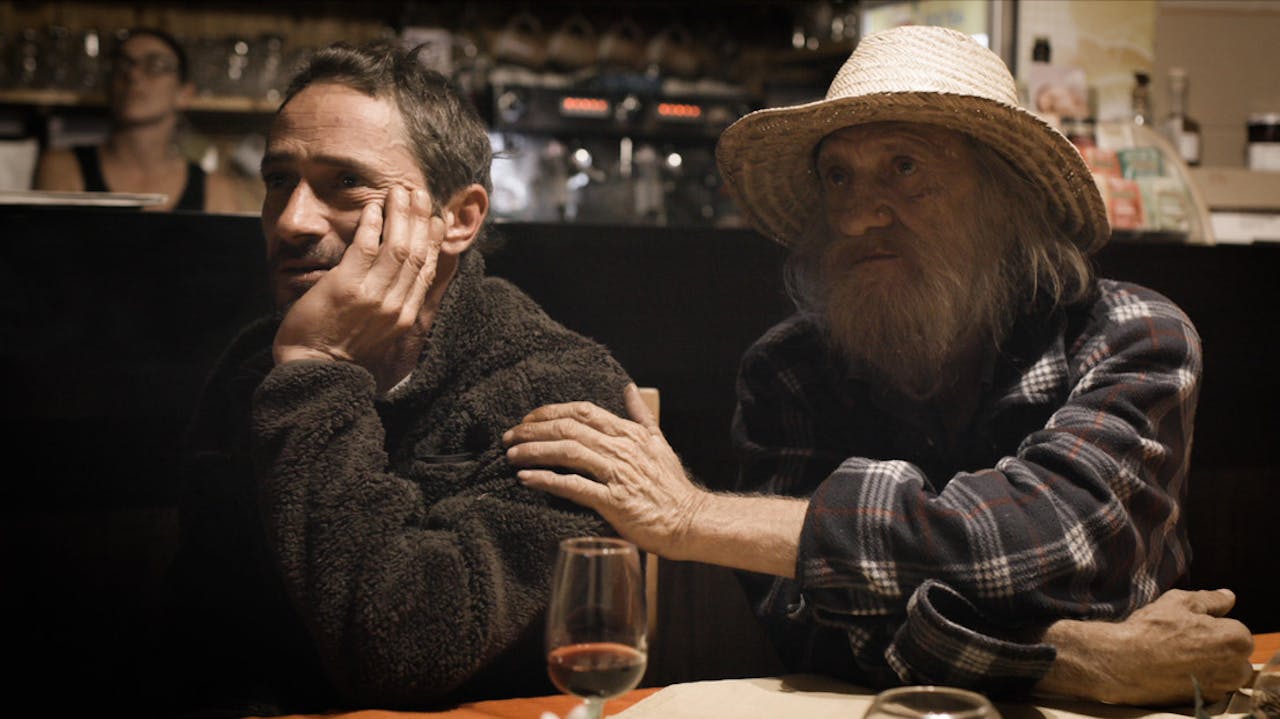 Cows on the Roof - Trailer - Cows on the Roof - True Story