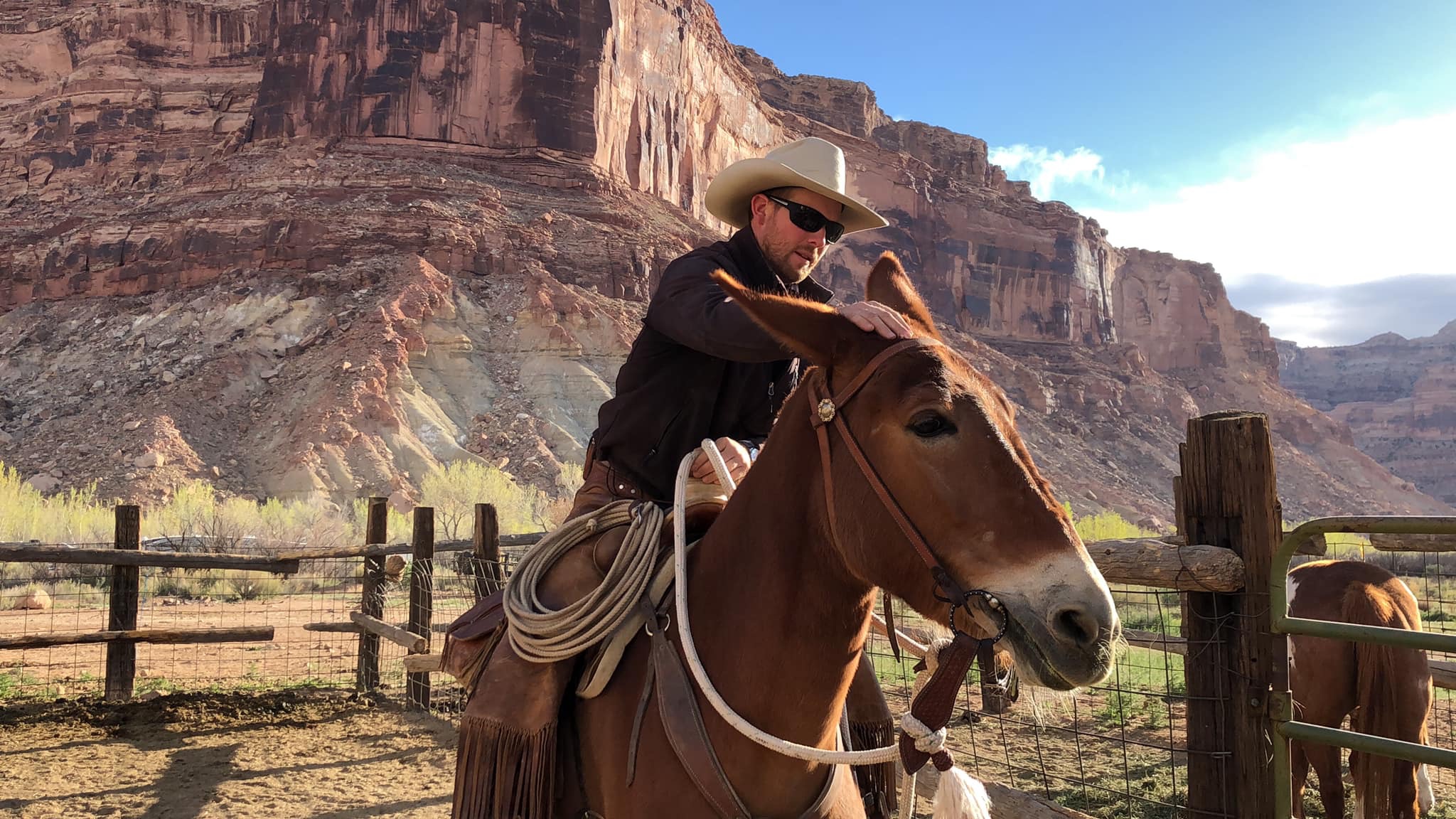 Colt Starting - Ty Evans Mulemanship