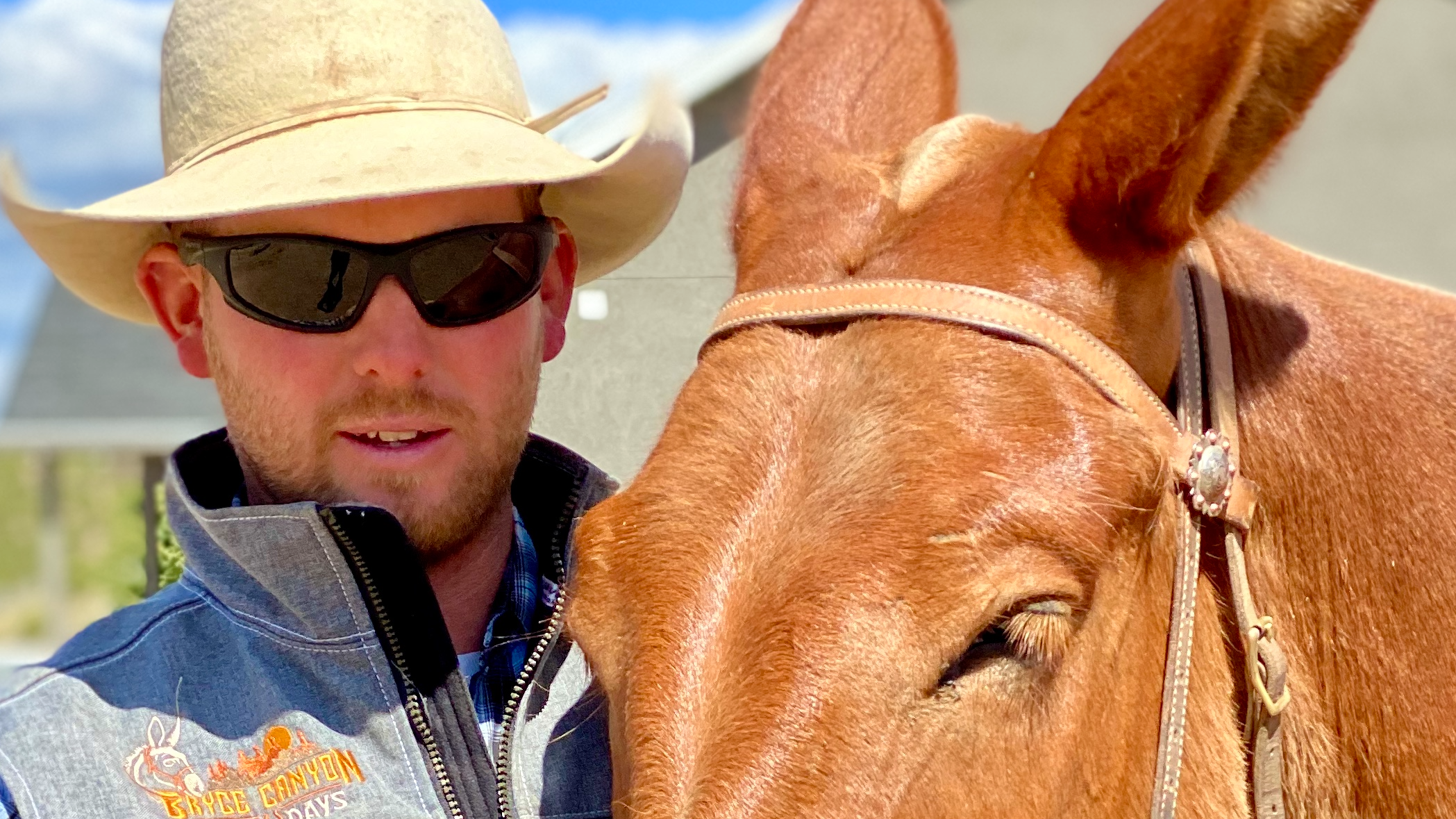 Wisdom Talks - Ty Evans Mulemanship