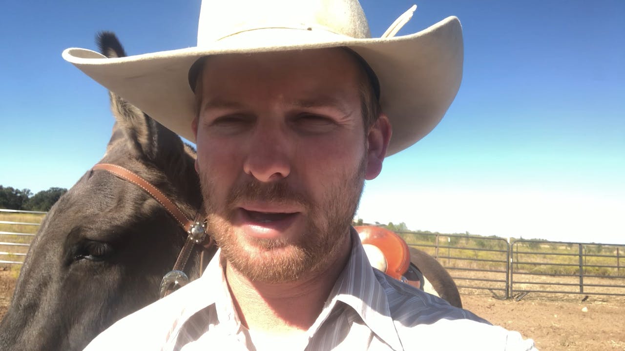 Stick to the Process - Ty Evans Mulemanship