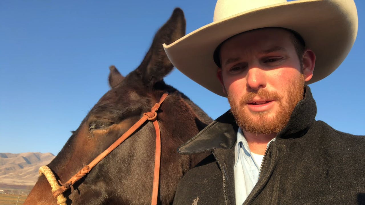 Confidence Talk with Ty and Mule “Mariah” - Wisdom Talks - Ty Evans ...