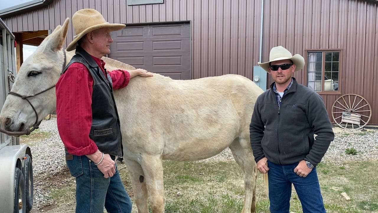 Saddle Fit with Joseph Gee Saddlery - Saddles & Tack - Ty Evans Mulemanship