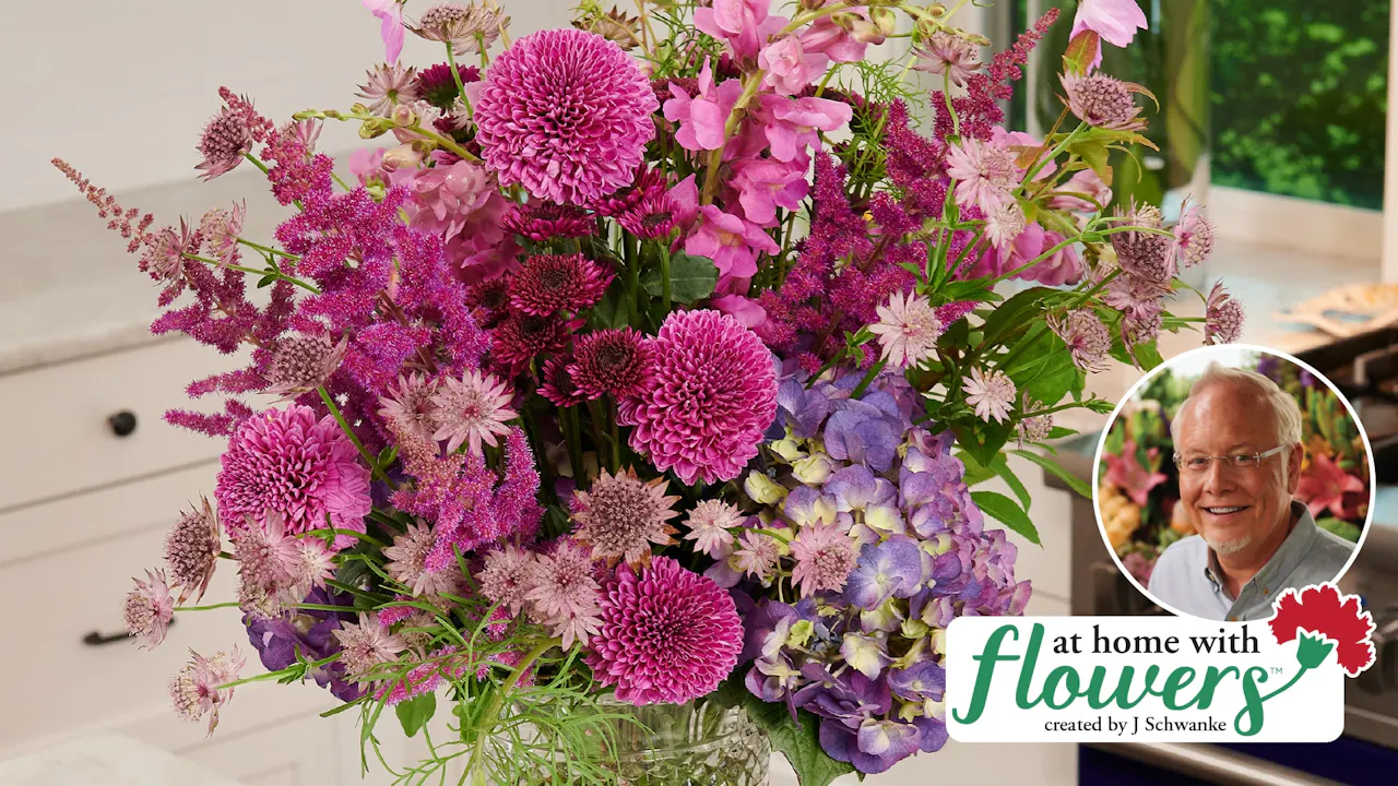 Elderberry Purple Bouquet! - Season 8 AHWF - J Schwanke's Life In Bloom ...