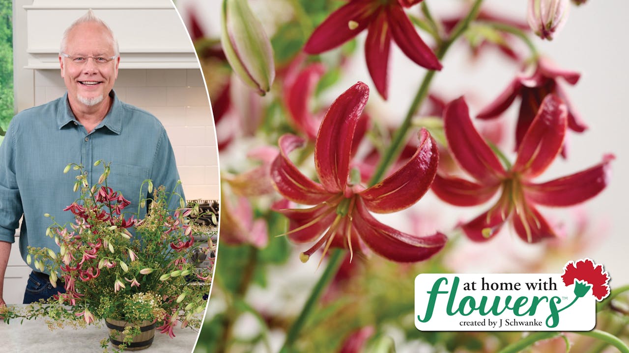 Martagon Lilies from Peterkort Roses! - Season 12 AHWF - J Schwanke's ...