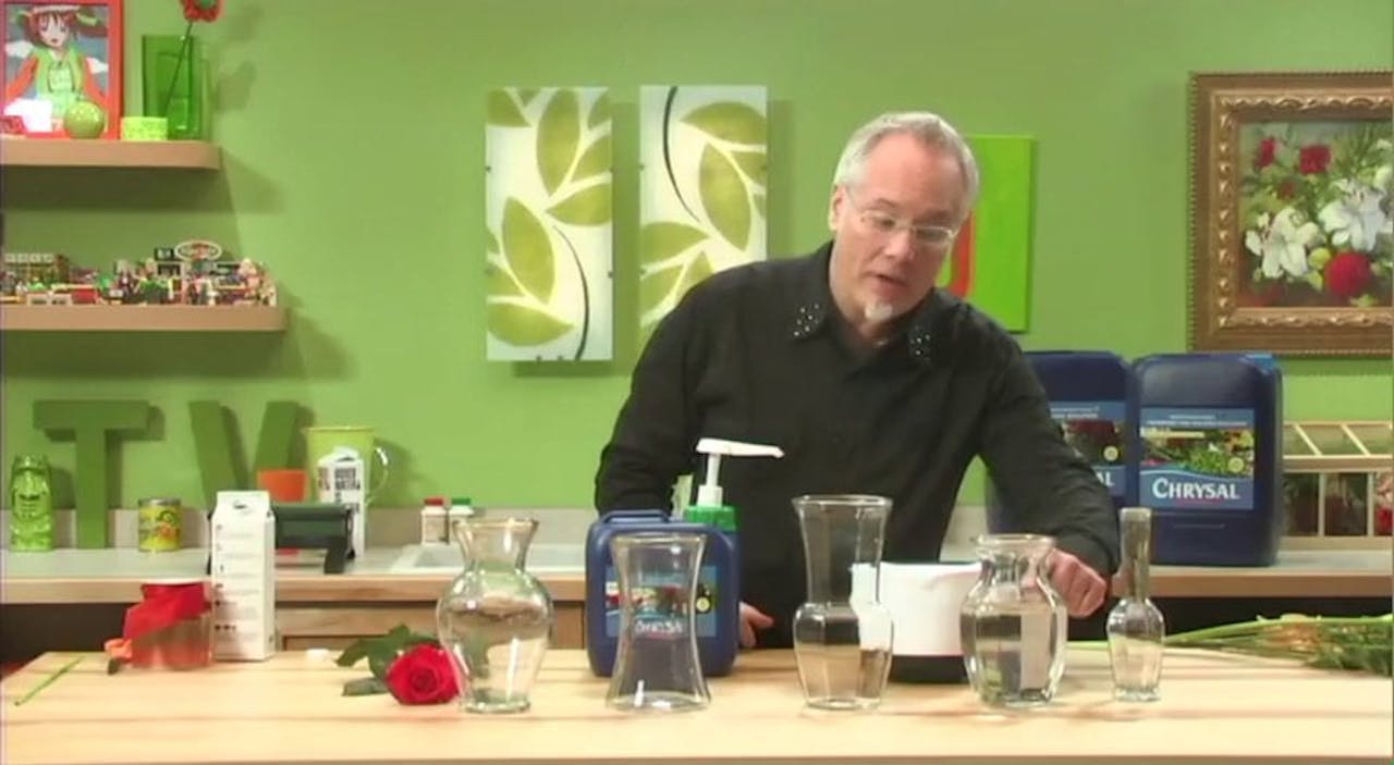 How To Make a Casket Spray (and use Chrysal Professional Solutions) - Season 19 JTV - J Schwanke ...