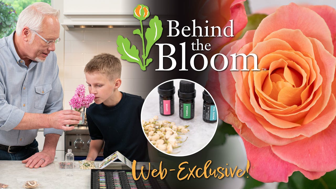 Behind the Bloom- Creating Perfume with Atticus! - Season 4 BTB - J ...