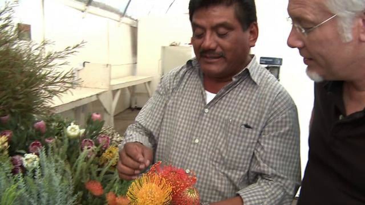 The CA Grown Experience on uBloom visits Resendiz Brothers - CA Grown ...