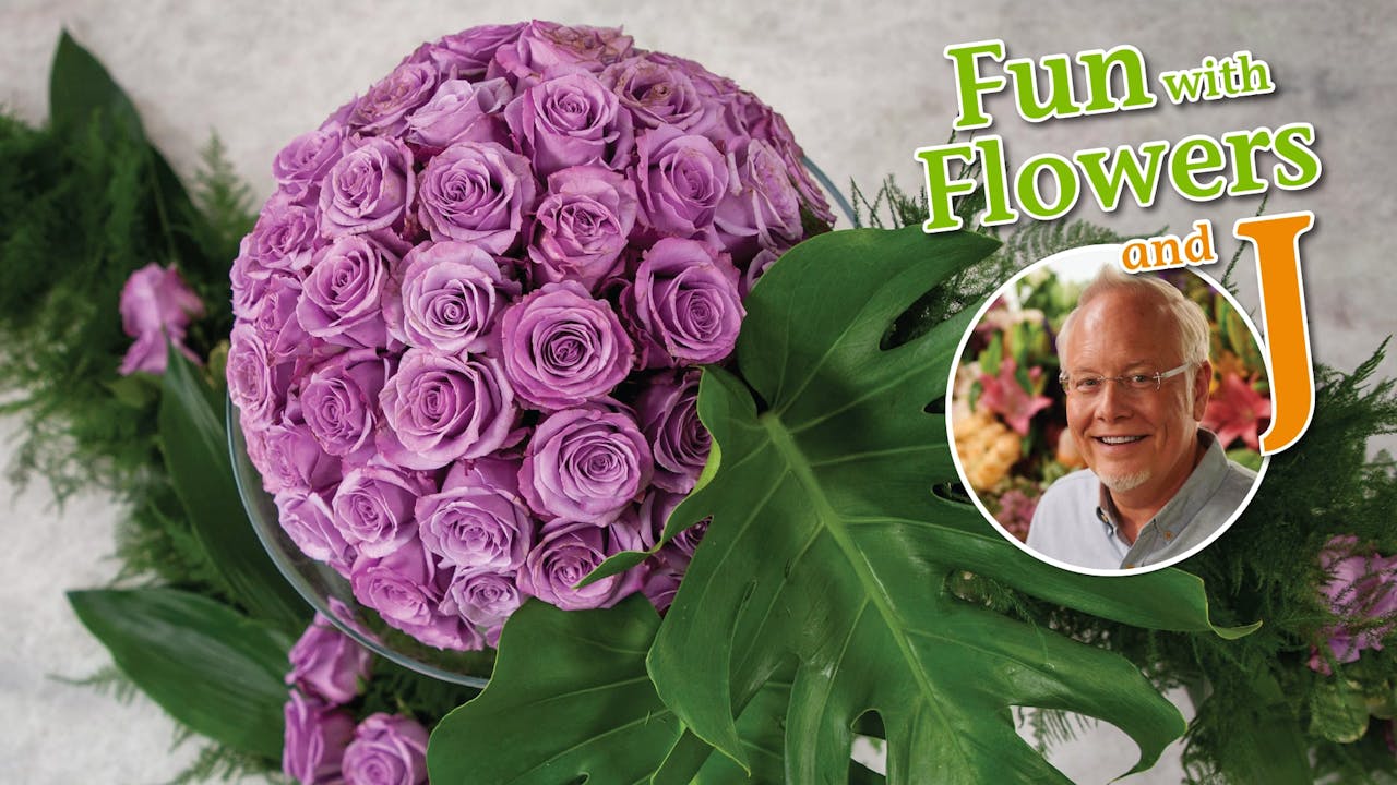 Applause® Roses from Florigene and Suntory Flowers! - Season 31 - FWFJ ...