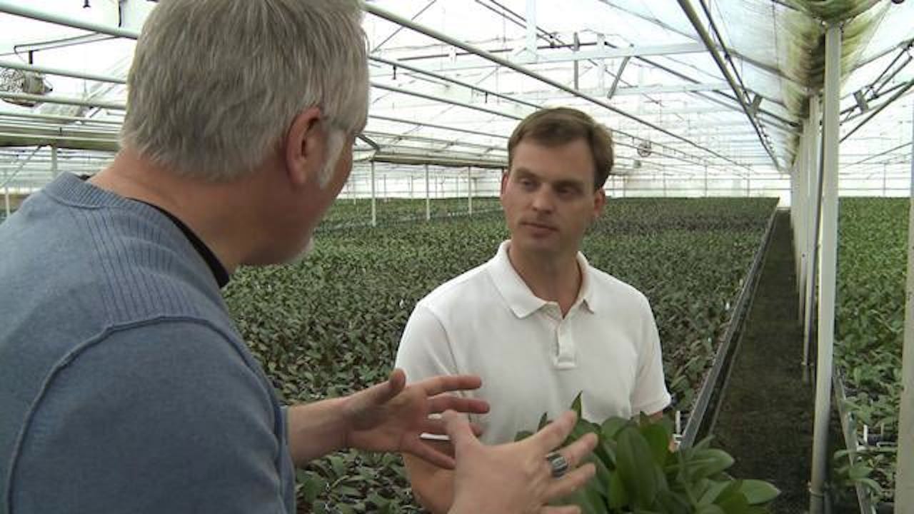 The CA Grown Experience on uBloom Visits Westerlay Orchids - CA Grown ...
