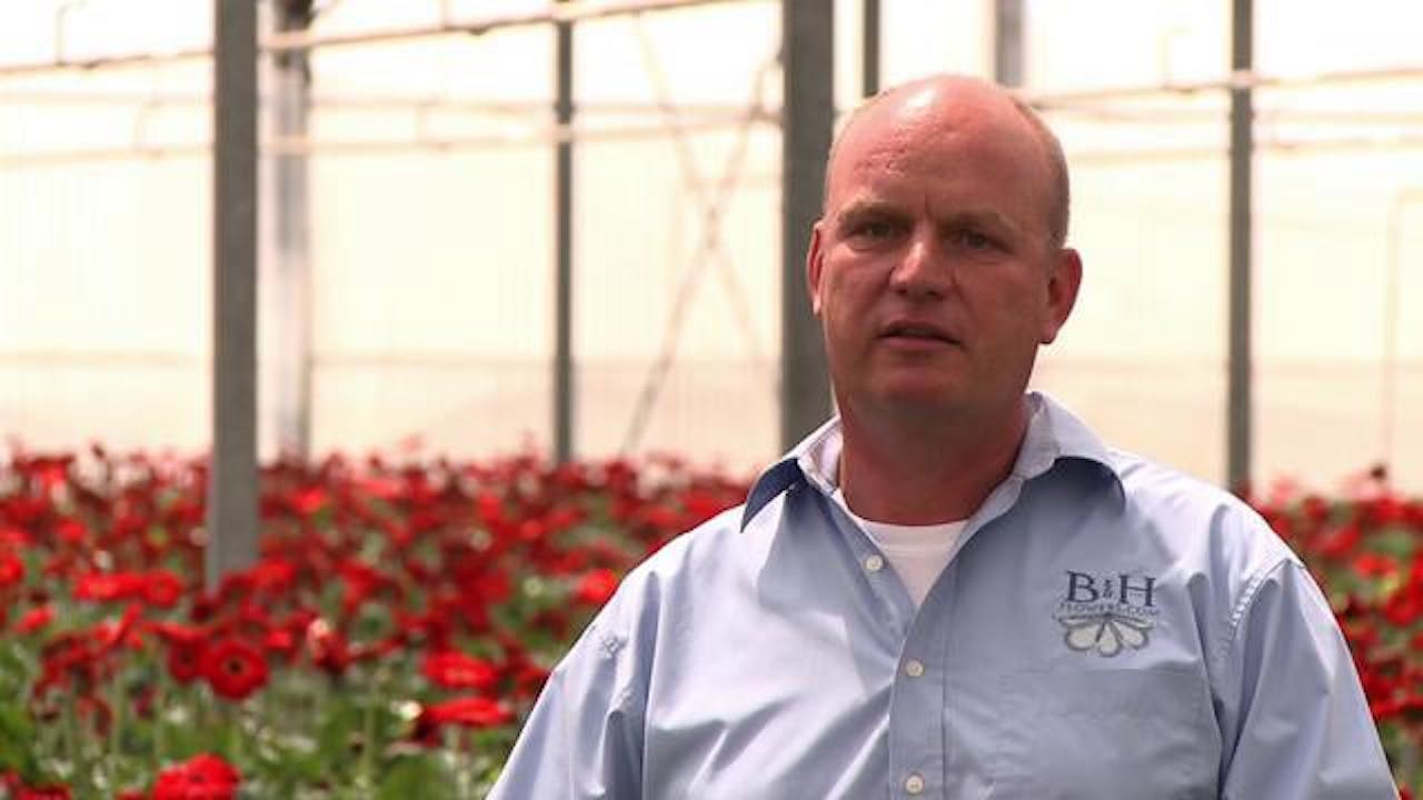 The CA Grown Experience on uBloom Visits B&H Flowers - CA Grown - J ...