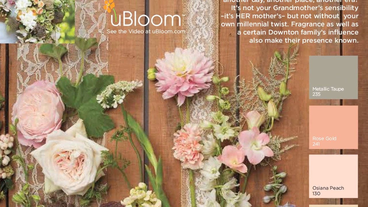 The uBloom 2015 Trend Synthesis Collection - Season 12 - FWFJ - J ...
