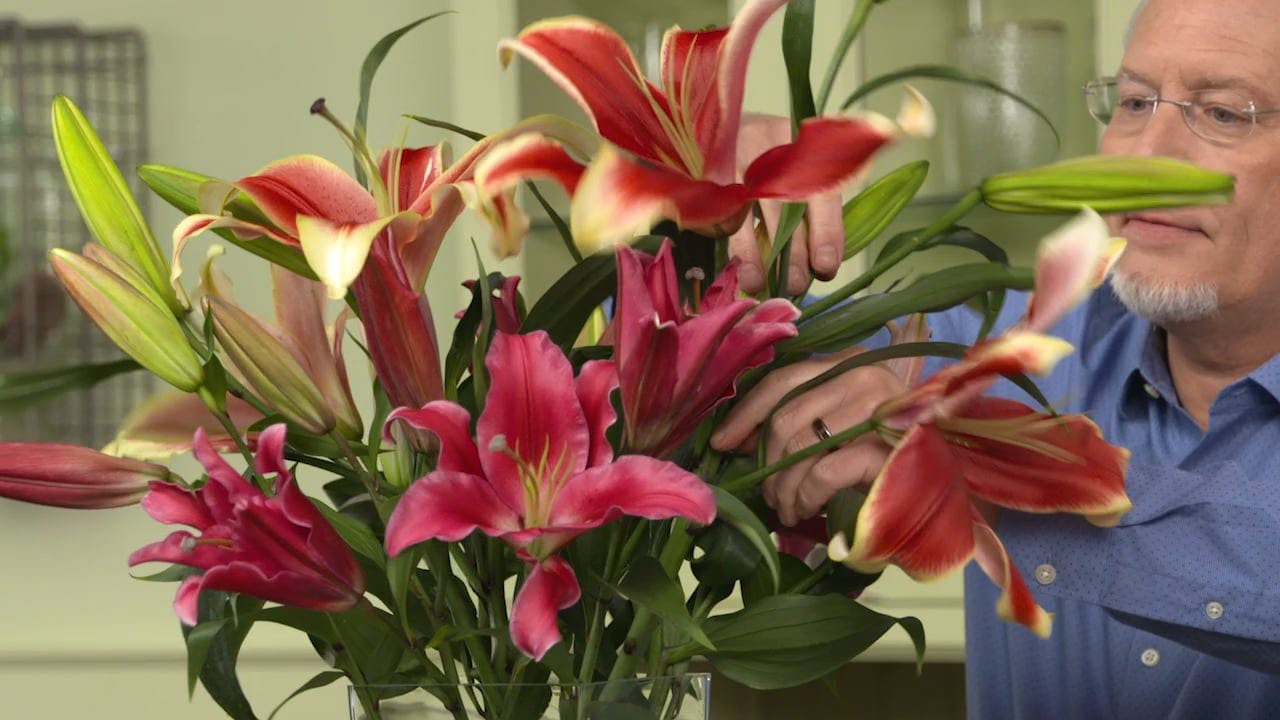 OT Lily Event Centerpiece from Sun Valley! - Season 27 - FWFJ - J Schwanke's Life In Bloom ...