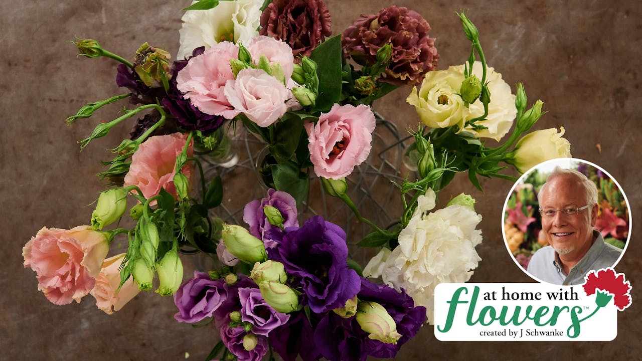 Lisianthus Collection! - Season 8 AHWF - J Schwanke's Life In Bloom ...