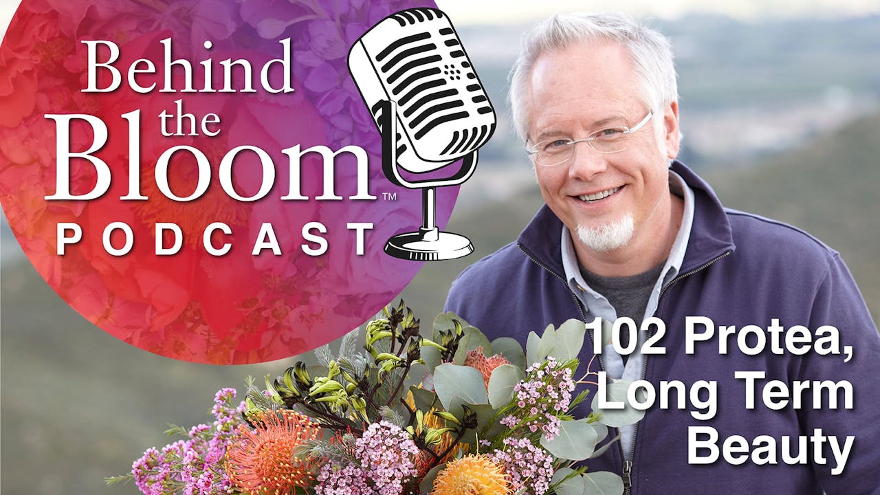 Episode 4: Protea-Long Term Beauty - J Schwanke's Life In Bloom - Flower Arranging