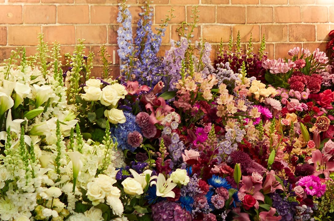 The Flowers of Colombia on uBloom- Diversity! - Season 1 - Flowers of ...