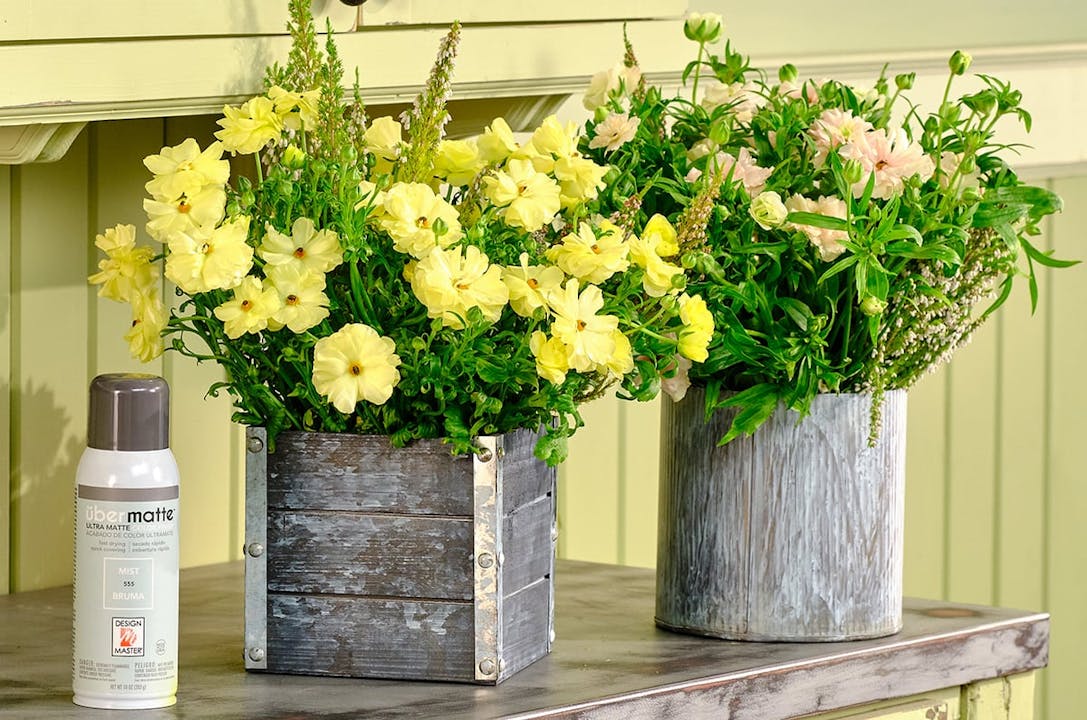 Age Containers with überMatte from Design Master - Season 28 - FWFJ - J ...