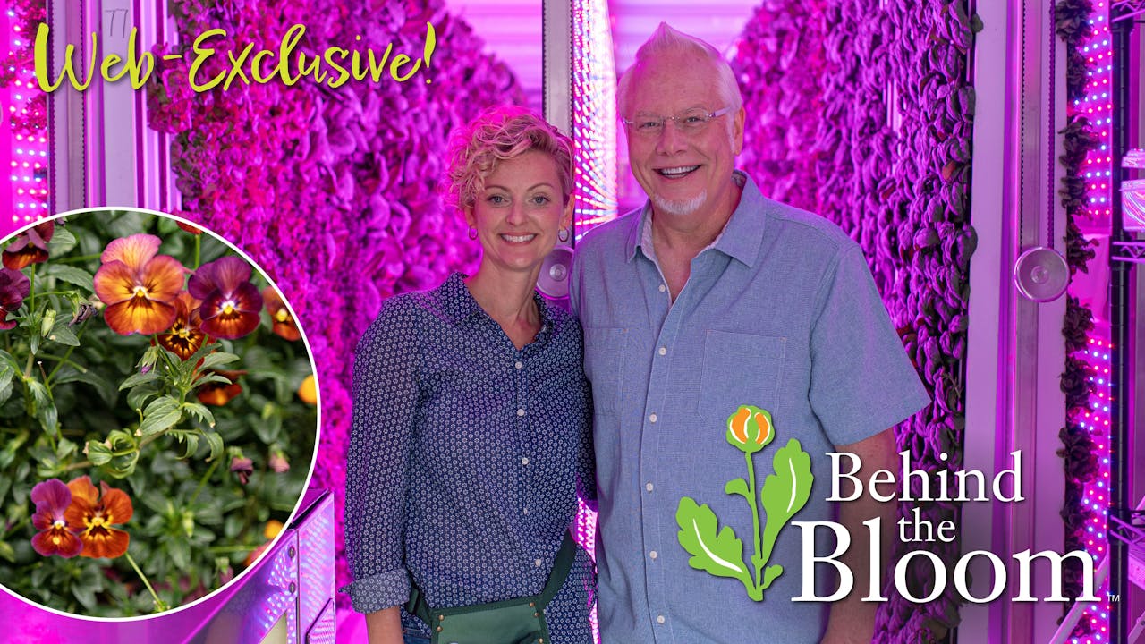 Behind the Bloom -with Jill Frey at Superbloom Farms! - Season 5 BTB ...