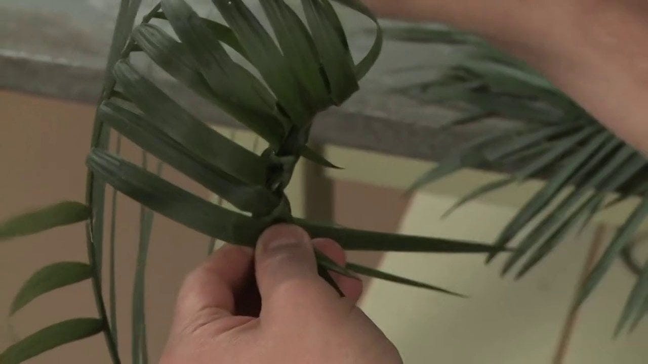 How to weave a palm leaf into a nautilus shell!- Flowers 101 - J ...