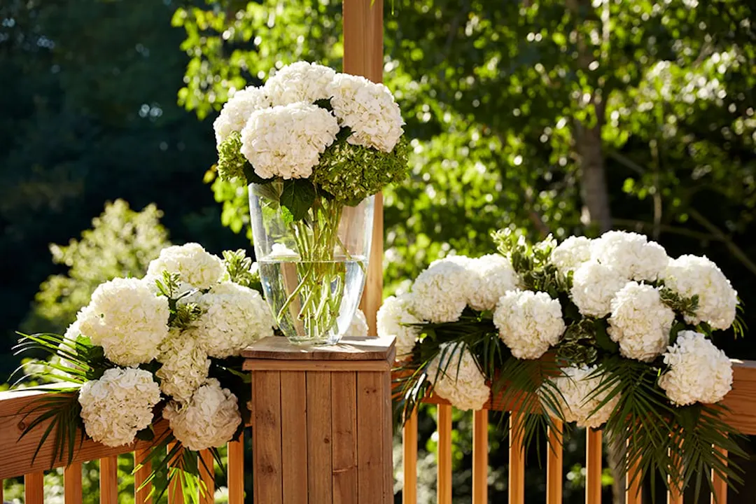 How to Arrange Flowers: Hydrangea Event Setting - Season 17 - FWFJ - J ...