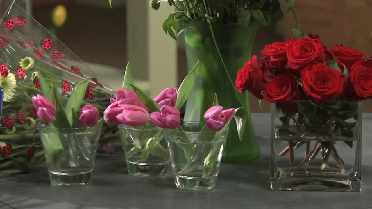 How to Care for your Flowers & Easy to Make Flower Arrangements ...