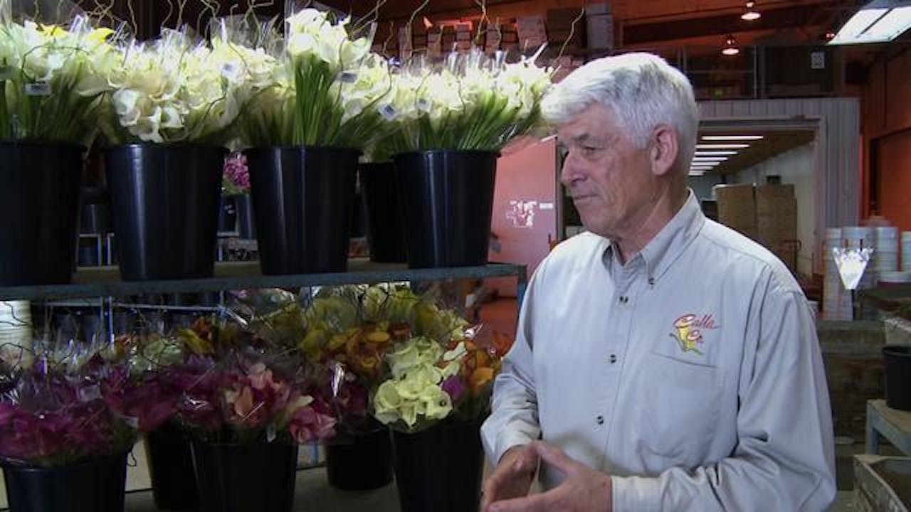 The CA Grown Experience on uBloom Visits CallaCo - CA Grown - J ...