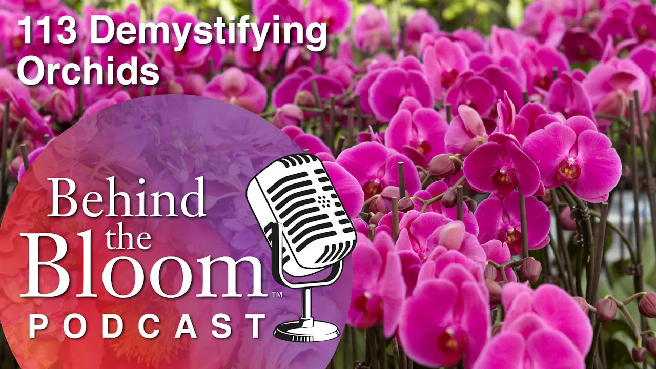 Episode 21 - Companion to Life in Bloom #113 DeMystifying Orchids - J ...