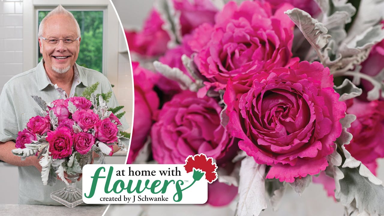 Yves Piaget Roses! - Season 11 AHWF - J Schwanke's Life In Bloom ...