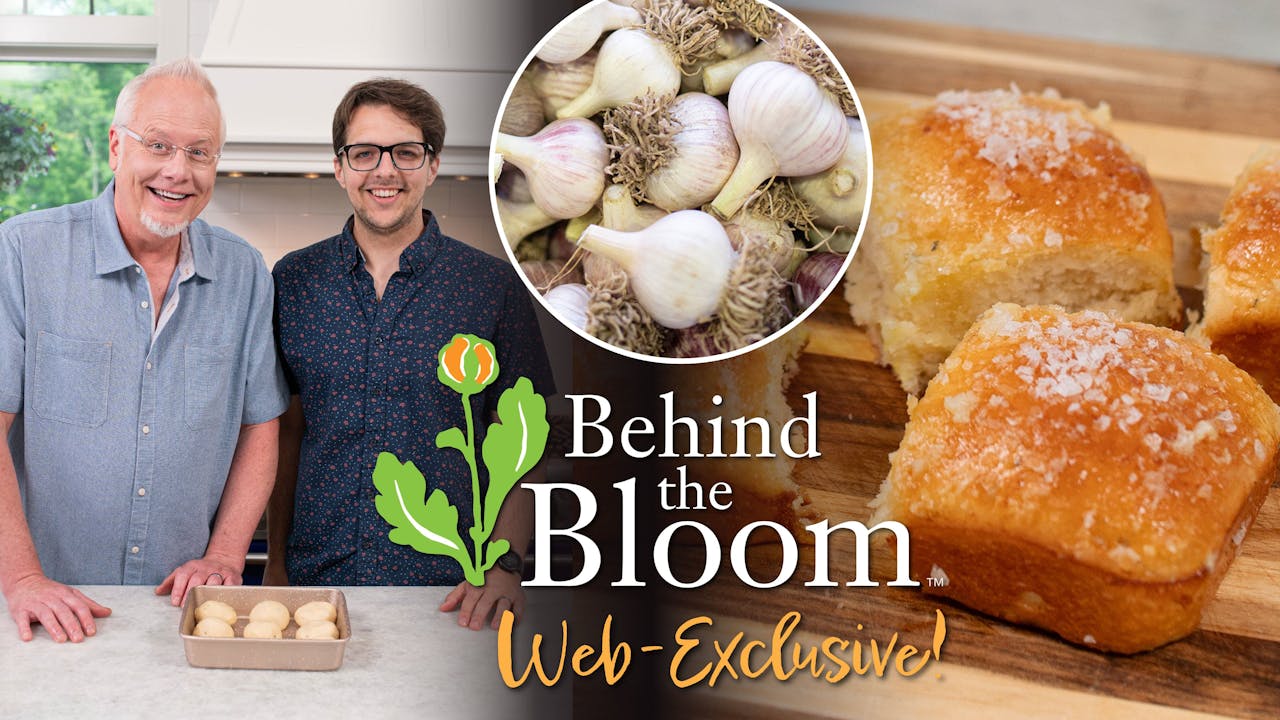 Behind the Bloom- Nick Boersma and his famous Garlic Rolls! - Season 4 ...