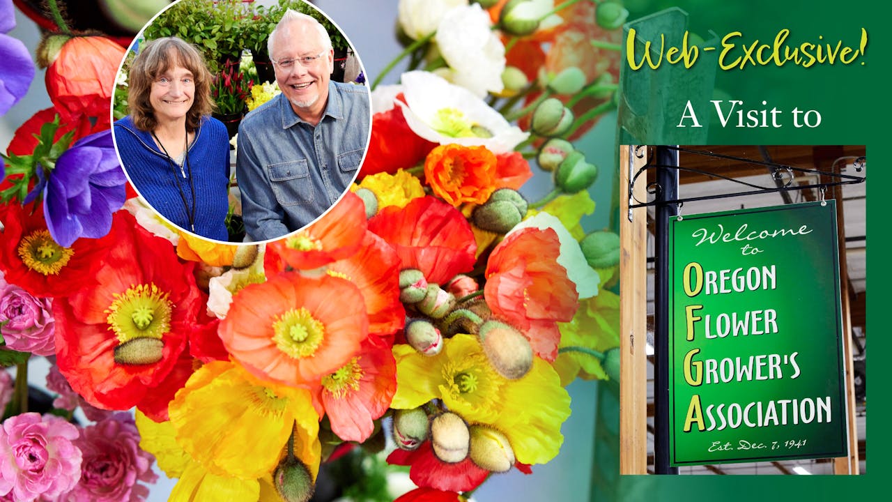 A Visit to Oregon Flower Growers Association! - Flower Events - J ...