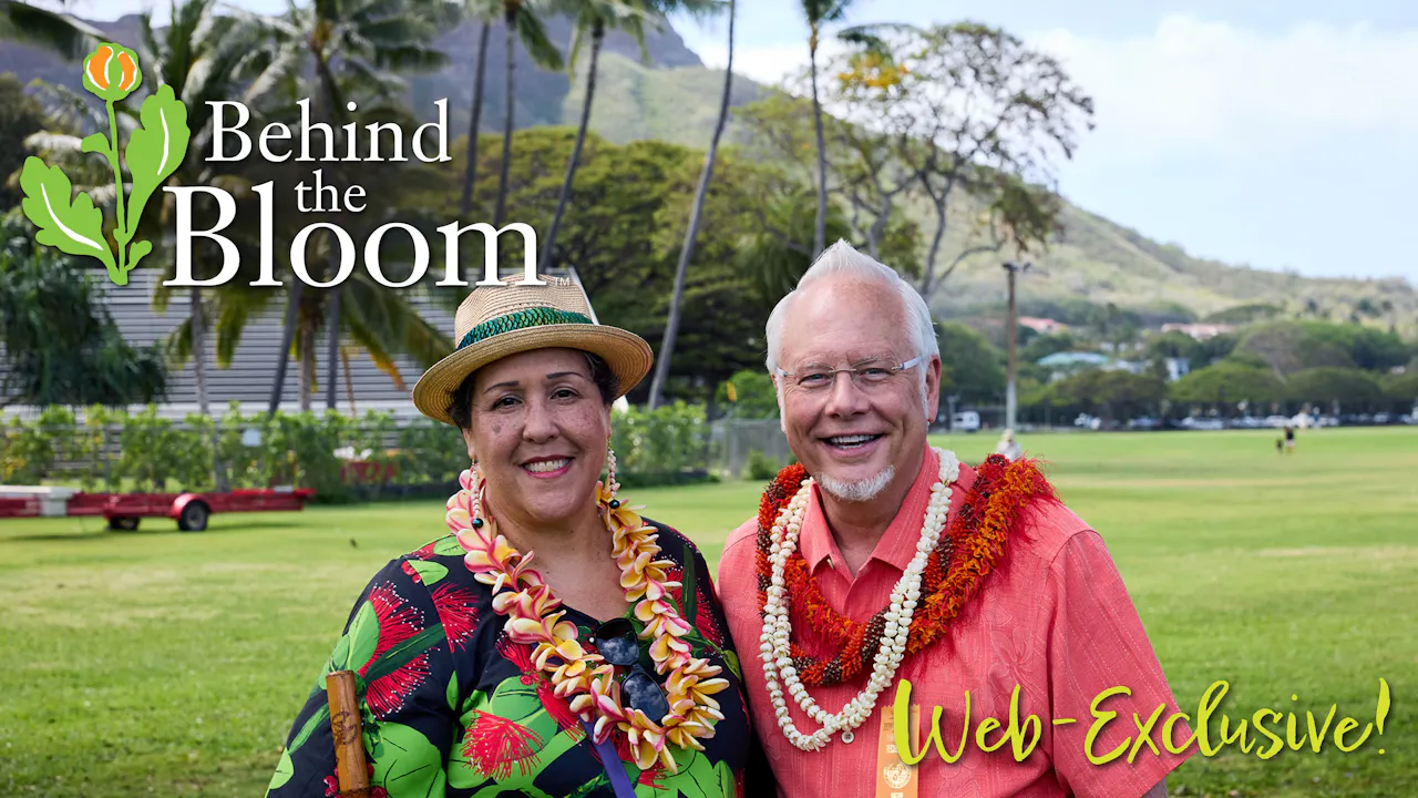 Behind the Bloom – Lei Day Celebration Flower Friends. - Season 5 BTB ...